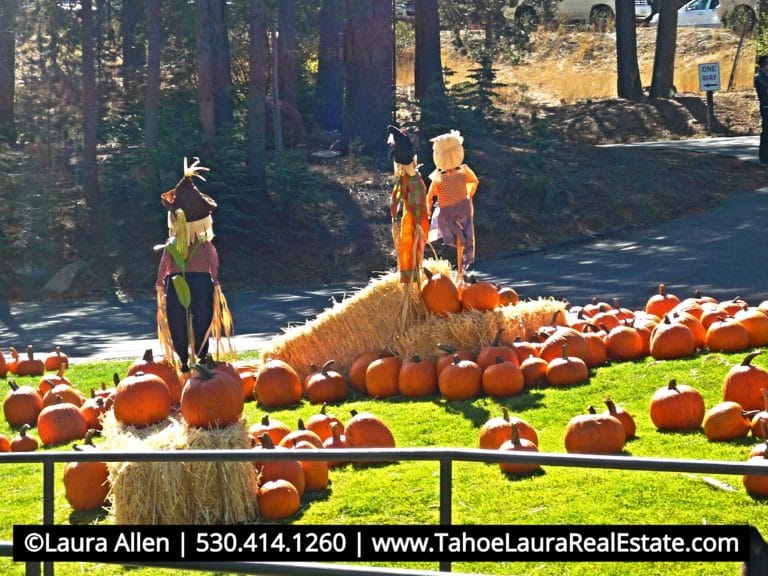 Tahoe Donner Fall Festival - 2019