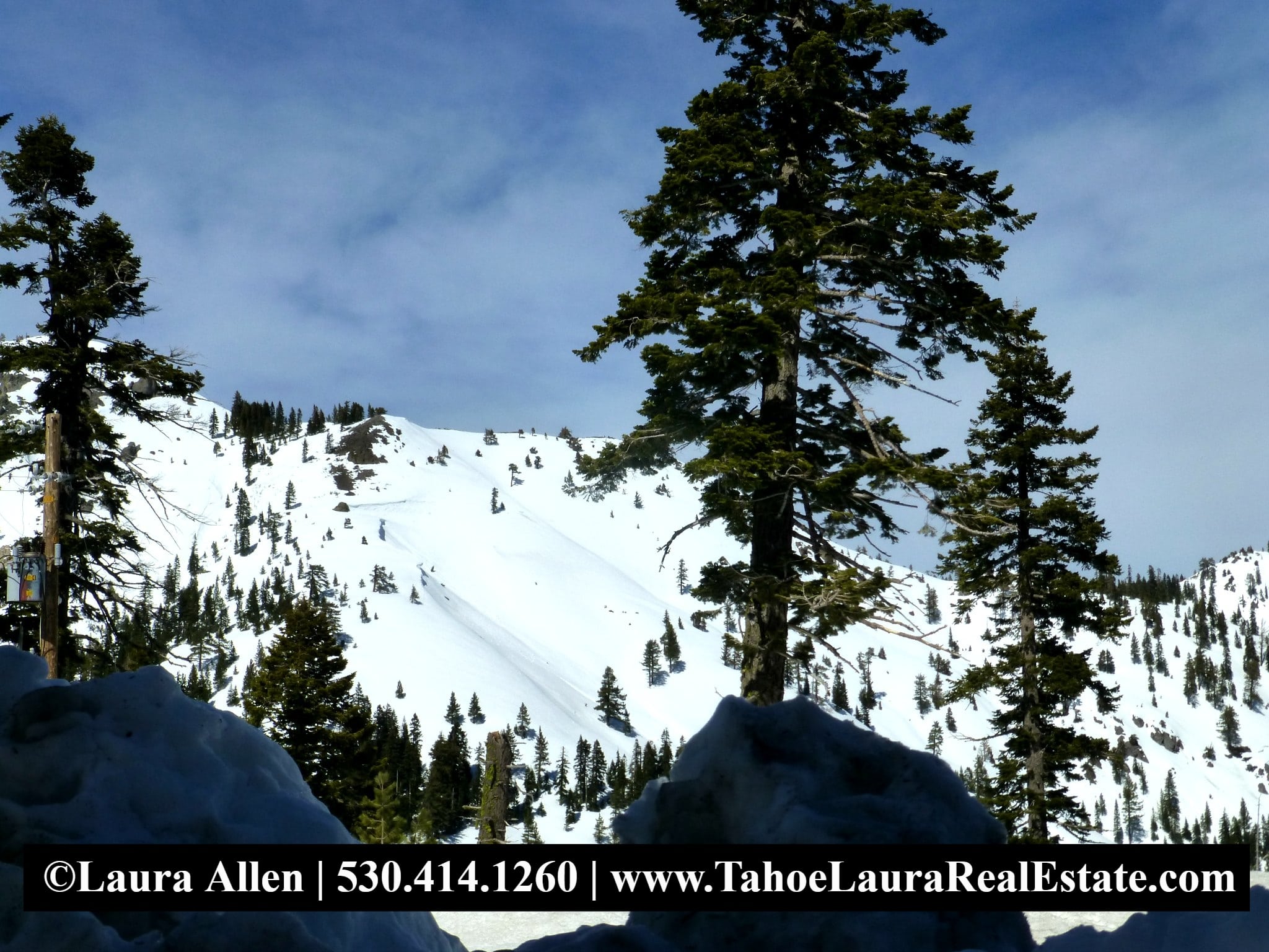 Alpine Place Clock Tower Condos for Sale
