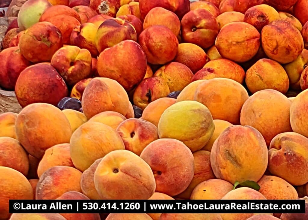 Truckee Farmers Market 2026