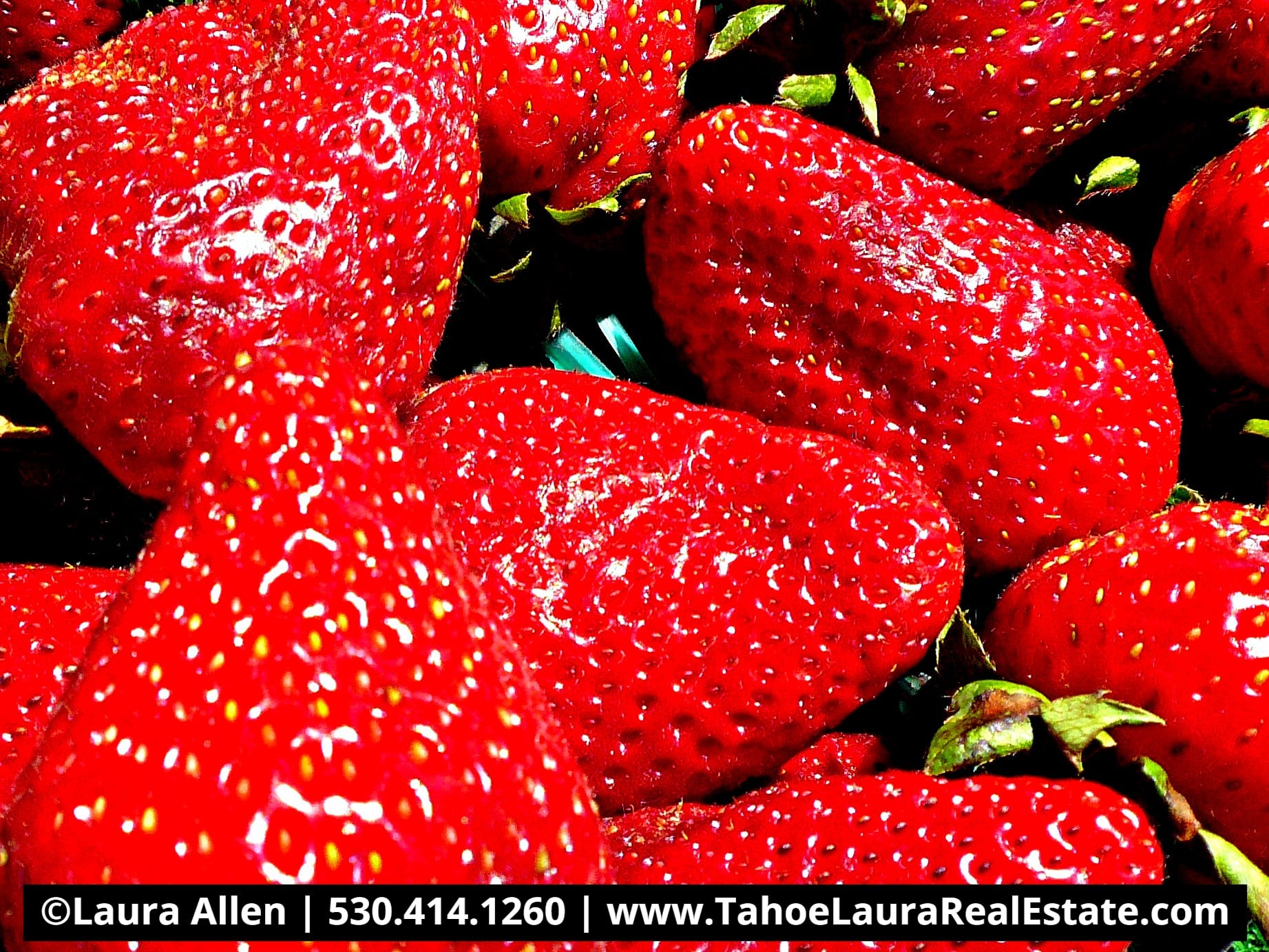 Tahoe City Farmers Market 2026 - Lake Tahoe - Truckee, CA Real Estate ...